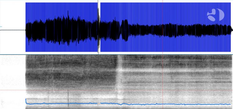 Lispeln loswerden: Sigmatismus-Therapie bei Erwachsenen - TOTALVOKAL ...